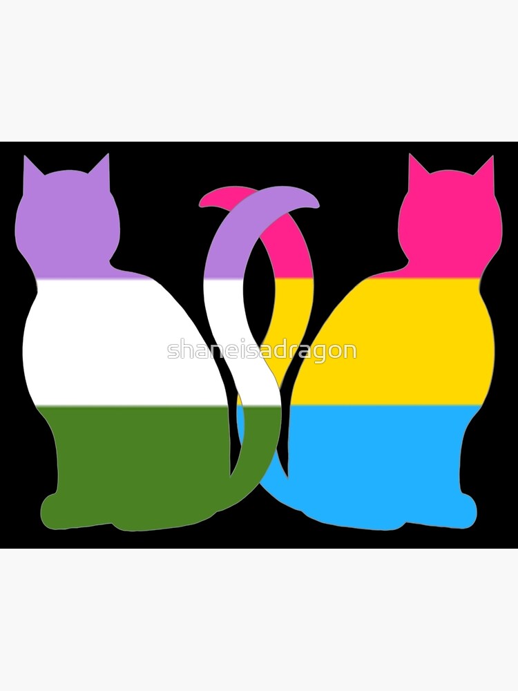 Genderqueer Pansexual Pride Cats Art Print For Sale By Shaneisadragon