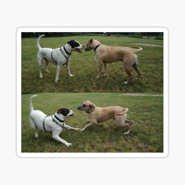 "Benny" Sticker by MiloAddict | Redbubble