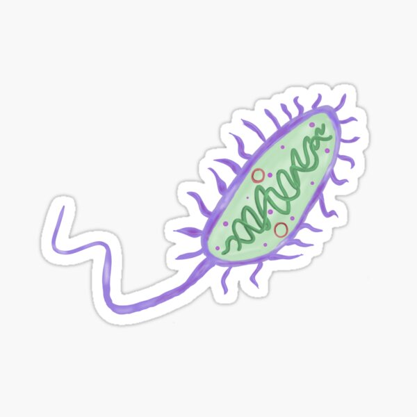 "Bacteria Cell Sticker" Sticker for Sale by Protorla | Redbubble