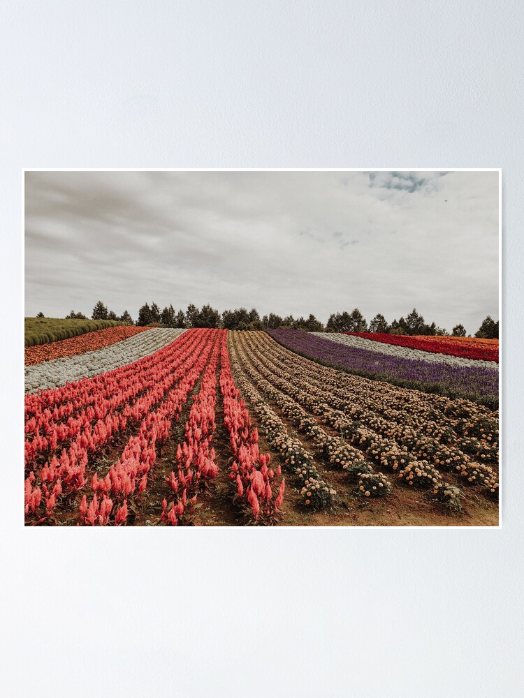 "Flower field " Poster for Sale by knotee-co | Redbubble