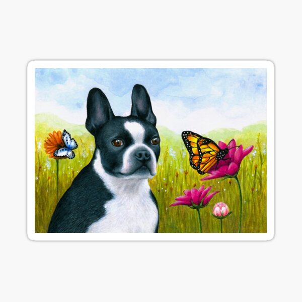 Boston Terrier Stickers | Redbubble