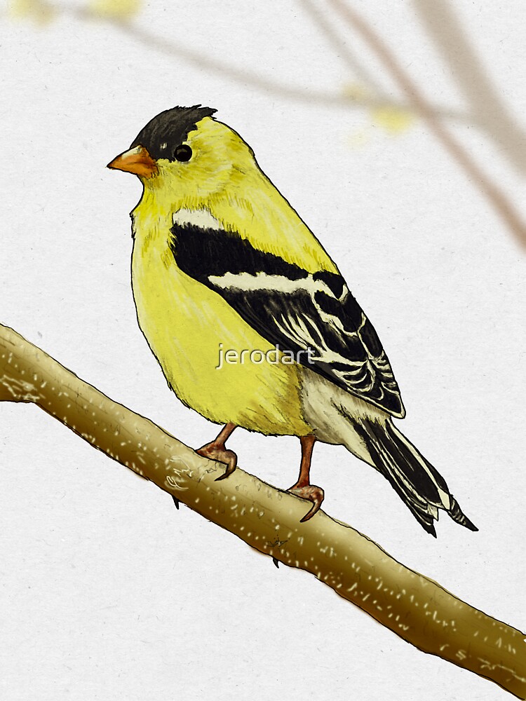 "Goldfinch" Sticker by jerodart | Redbubble
