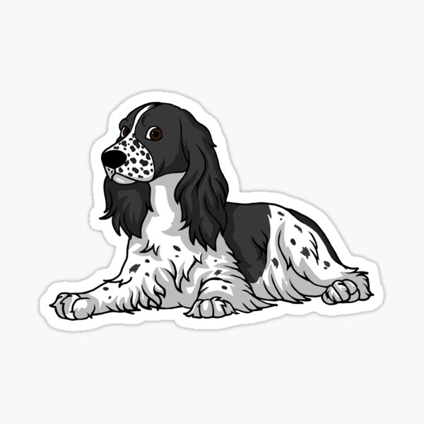 "English Cocker Spaniel 2" Sticker for Sale by kmcmath01 | Redbubble