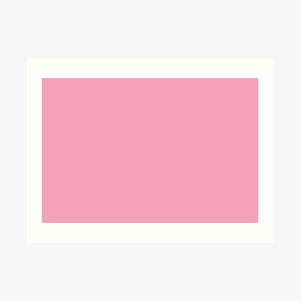 "Pastel Pink Solid Color Pantone Prism Pink 14-2311 Accent to Color of ...
