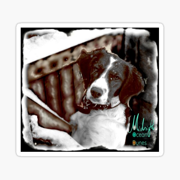 "Toby..." Sticker for Sale by Yannn | Redbubble