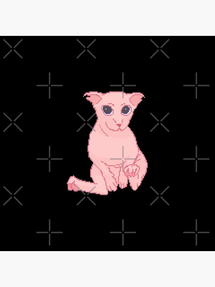 "Bingus cat pixel art" Pin for Sale by Geempah | Redbubble