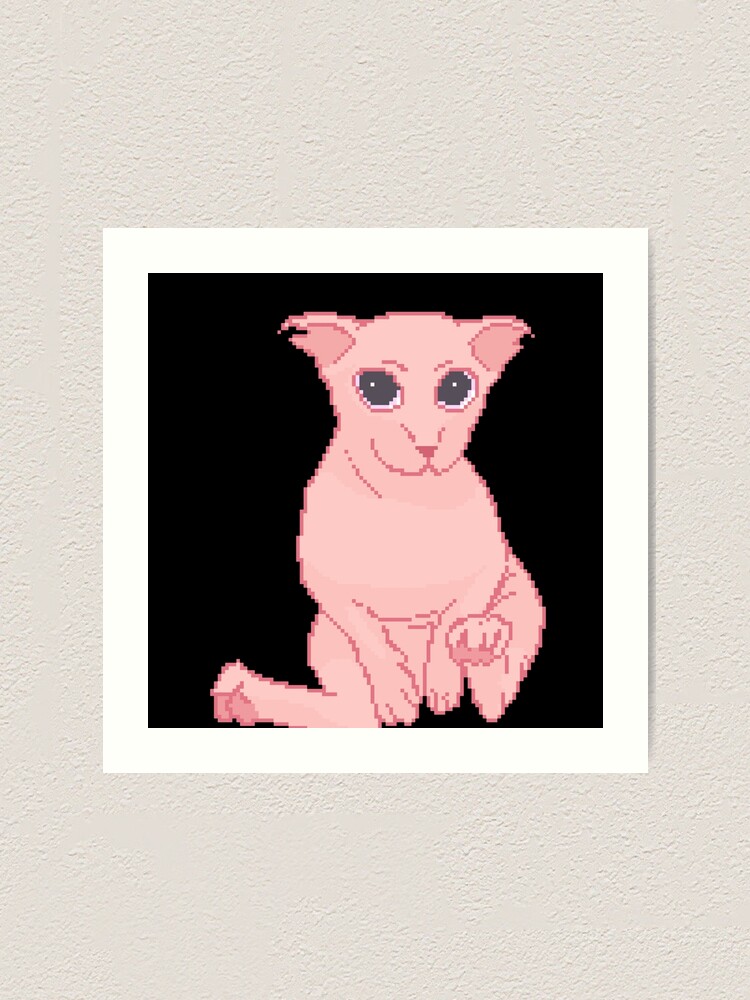 "Bingus cat pixel art" Art Print by Geempah | Redbubble