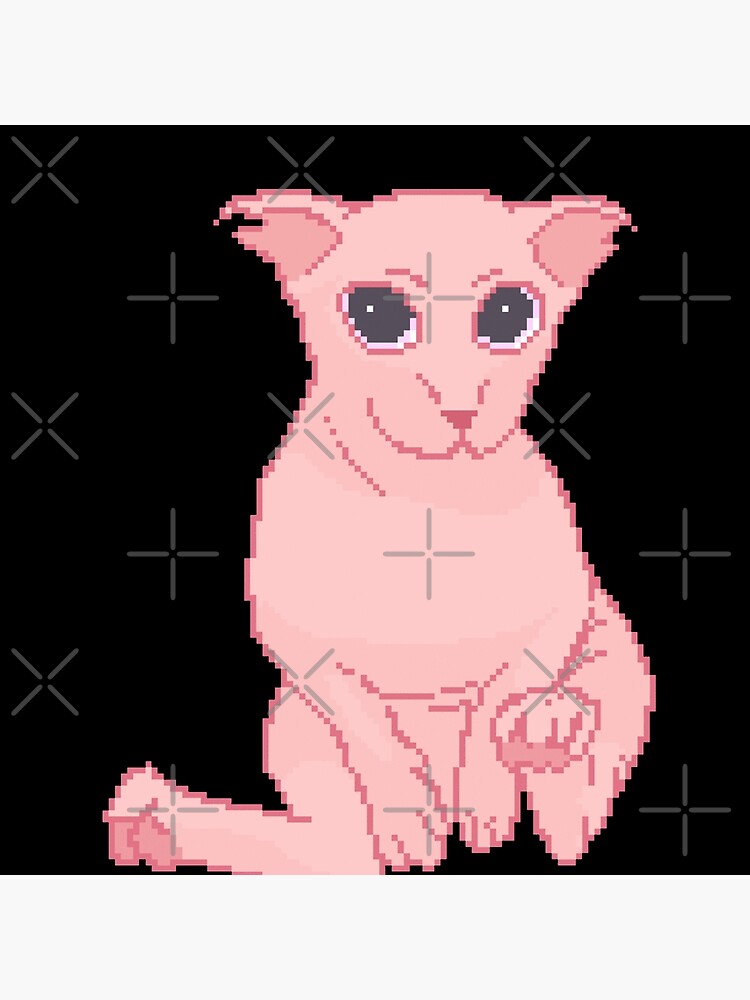 "Bingus cat pixel art" Art Print by Geempah | Redbubble