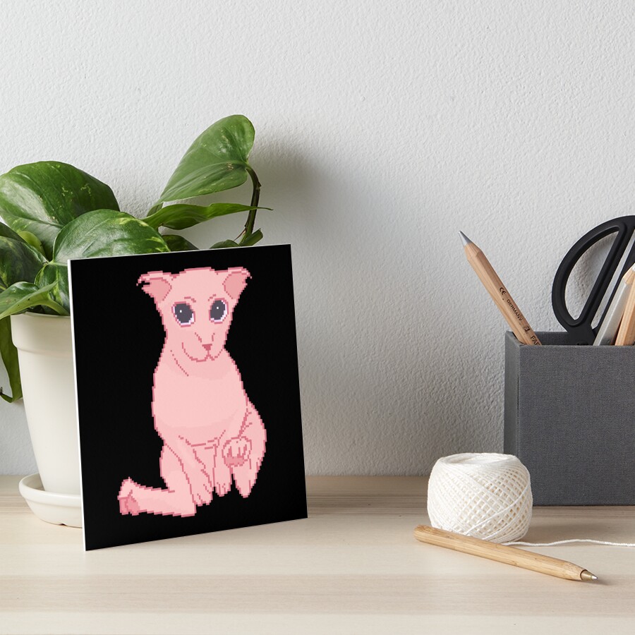 "Bingus cat pixel art" Art Board Print for Sale by Geempah | Redbubble