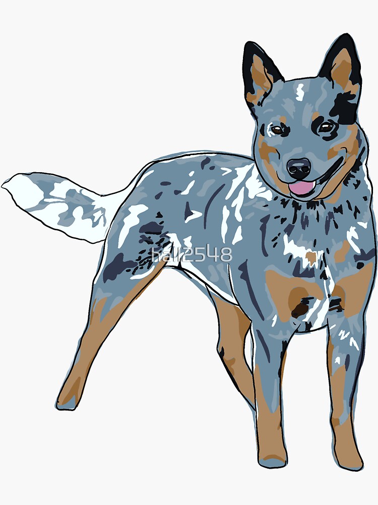 "Blue Heeler" Sticker for Sale by hall2548 | Redbubble
