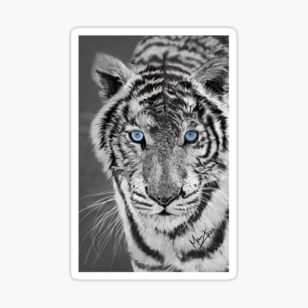 "White Tiger" Sticker for Sale by Marzisketch | Redbubble