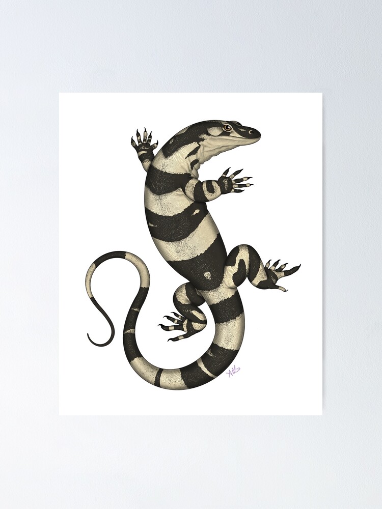 "Lace Monitor" Poster for Sale by miss-varanus | Redbubble