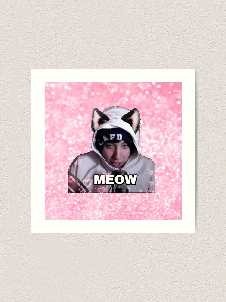 "Quackity catboy meow" Art Print for Sale by nomnomyoongi | Redbubble
