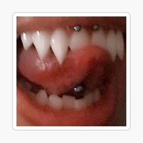 "Immortal Smile With Piercings" Sticker for Sale by celestaesthetic ...