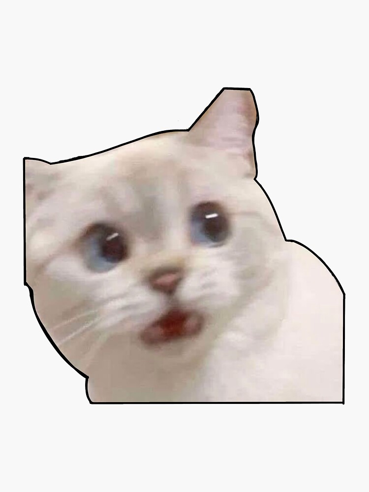 "Kitty meme sticker (shook cat)" Sticker for Sale by annes2442 | Redbubble