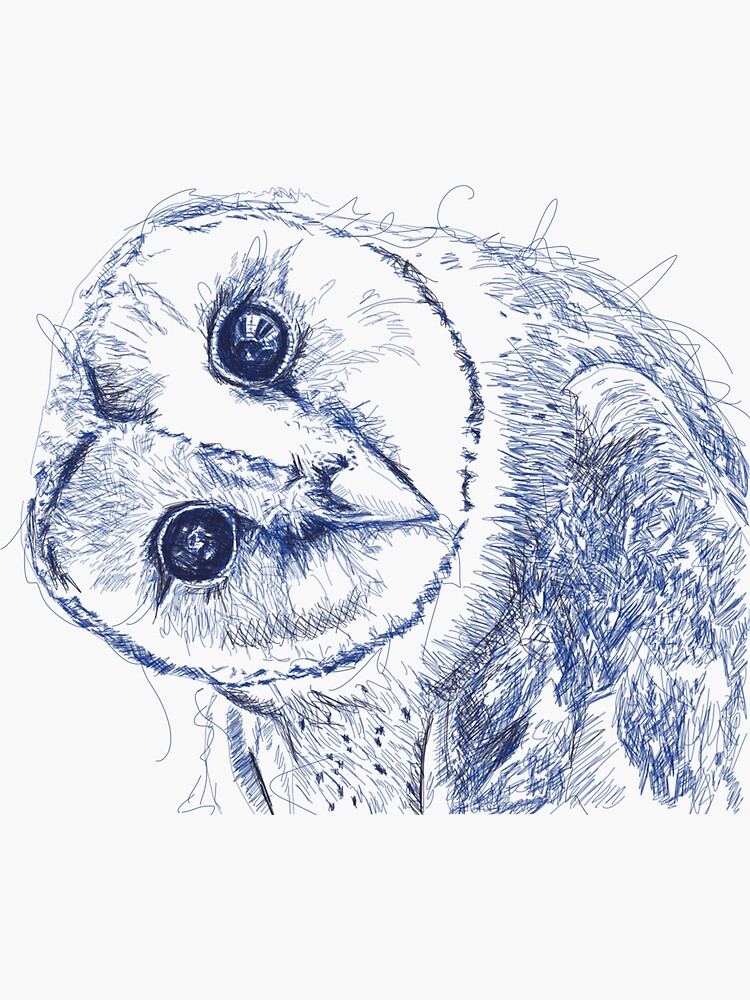 "Barn Owl Line Drawing" Sticker for Sale by dillondesignlab | Redbubble