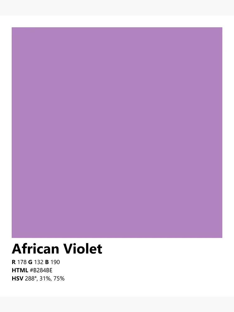 Pantone African Violet