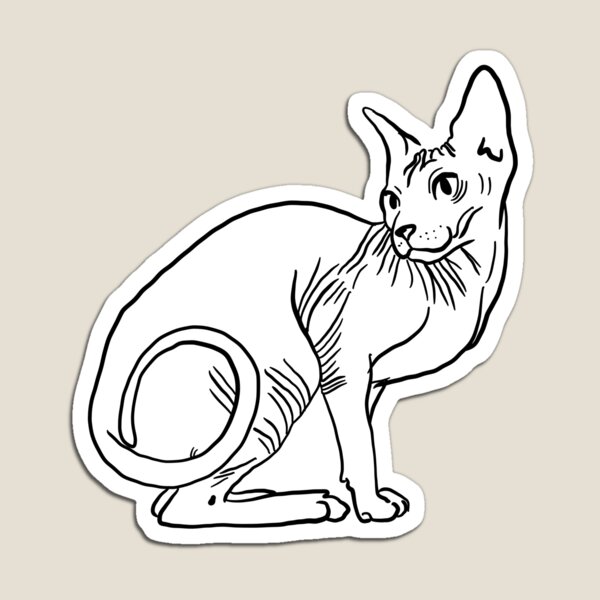 "Elegant Cute Sphynx Cat - Adorable Hairless sphynx kitty - Pet Lover ...