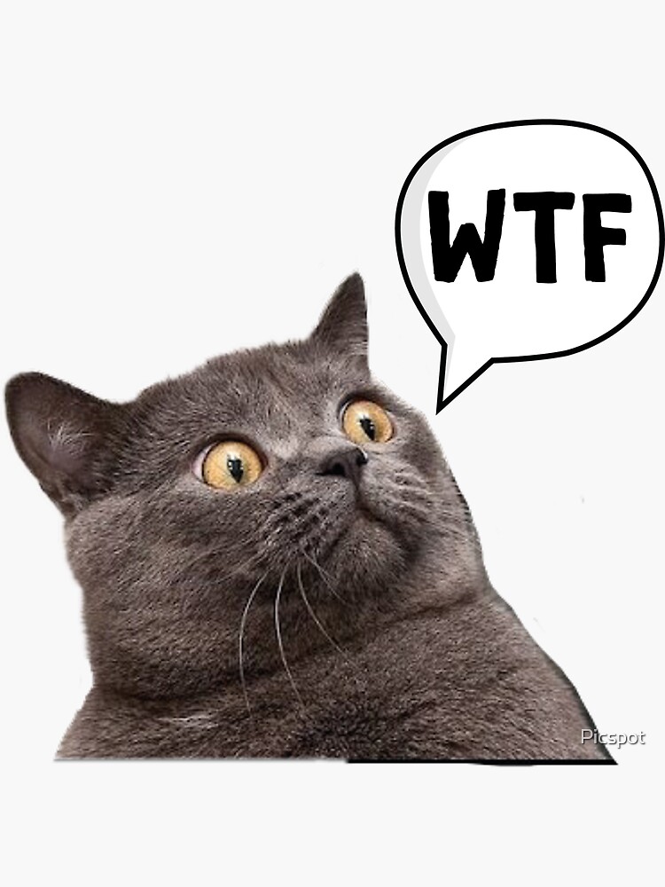 "CAT WTF DESIGN " Sticker for Sale by Picspot | Redbubble