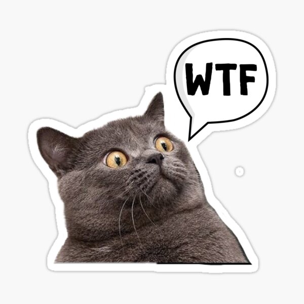 "CAT WTF DESIGN " Sticker for Sale by Picspot | Redbubble