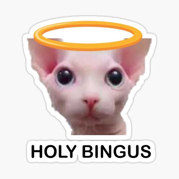 "Bingus cat high quality " Sticker for Sale by mgtrip | Redbubble