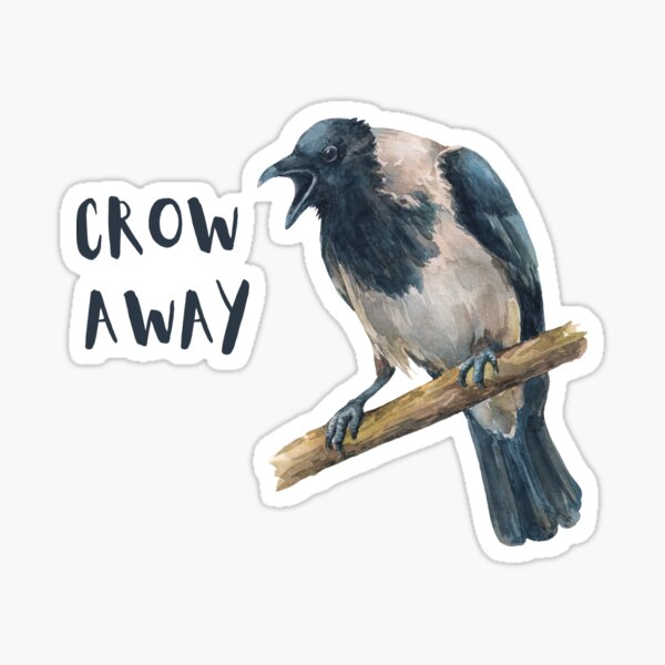 "Crow Away angry crow rude corvid bird" Sticker by TheWaterBirds ...