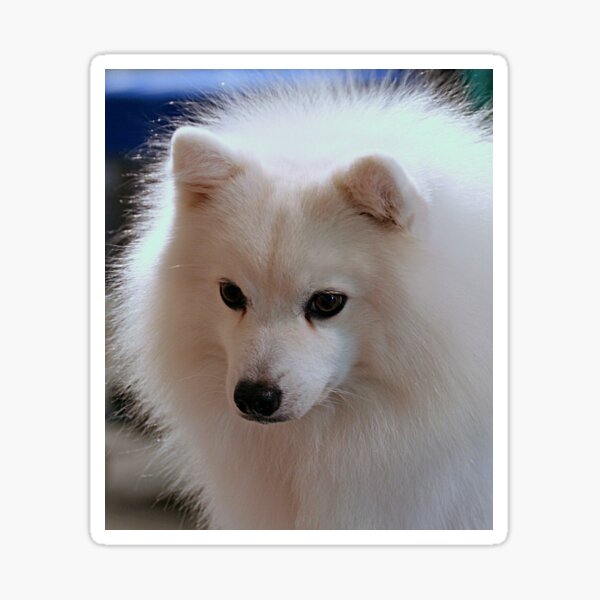 Oreo Gifts & Merchandise for Sale | Redbubble