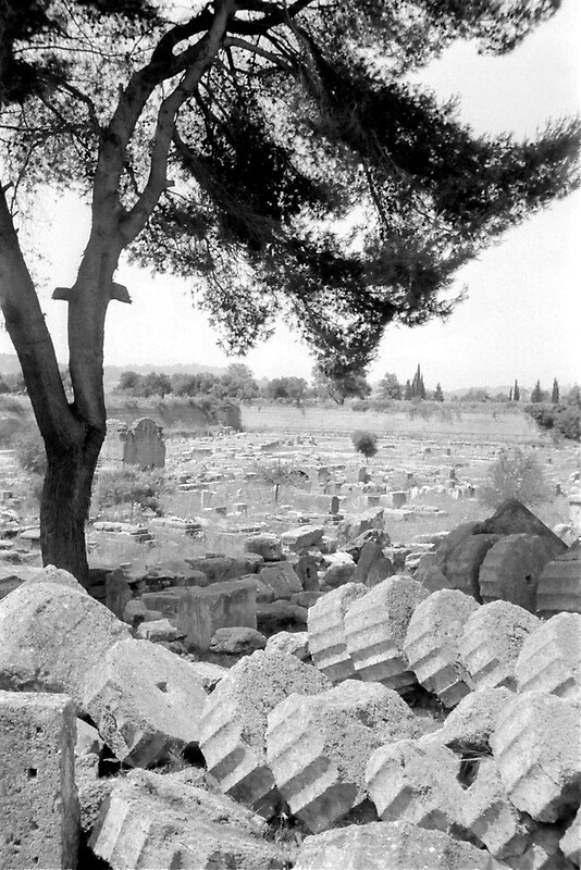 "Fallen Columns, Olympia, Greece" by Priscilla Turner | Redbubble