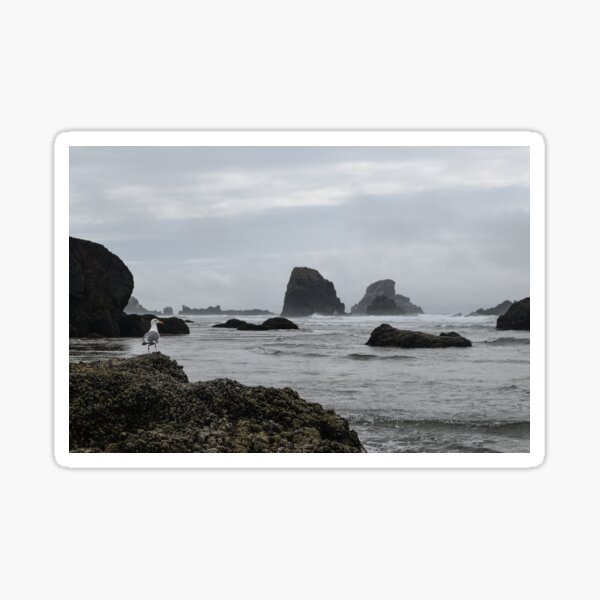 "Indian Beach, Ecola State Park, Oregon" Sticker for Sale by MikeKunes ...