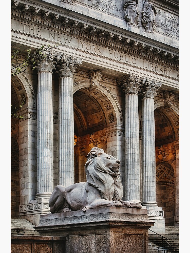 "NY Library Lion" Poster for Sale by jforno | Redbubble