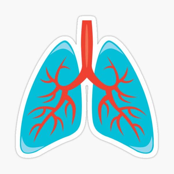 Pegatina «Arte de los pulmones» de Noon-Stickers | Redbubble