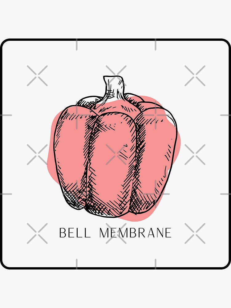 ""Bell Membrane" (Cell Membrane) Cute Biology Science Teacher Pun ...