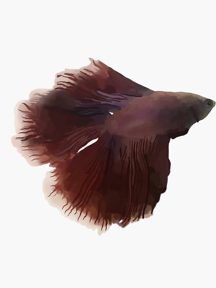 "Milkshake the Maroon Beta Fish" Sticker for Sale by taeylenol | Redbubble