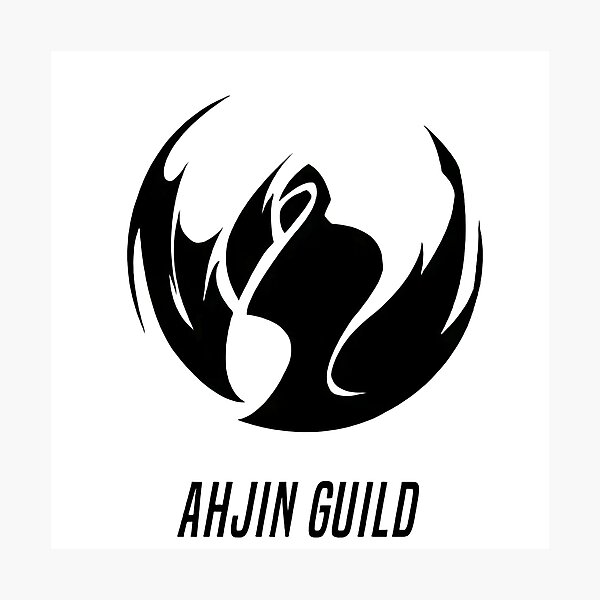 Impression photo « Ahjin Guild Solo Nivellement Noir », par ...