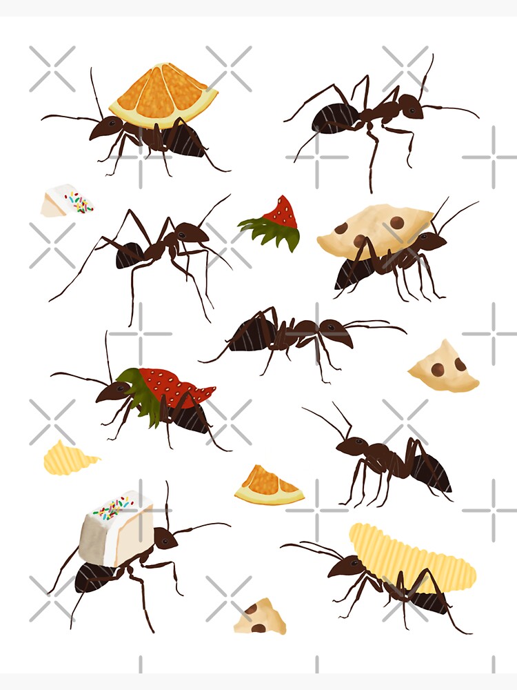 "Ants Carrying Snacks" Sticker for Sale by amymh | Redbubble