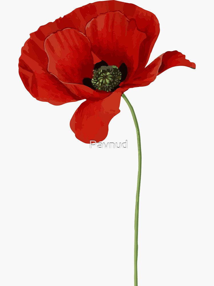 "Poppy Classic" Sticker for Sale by Pavnud | Redbubble
