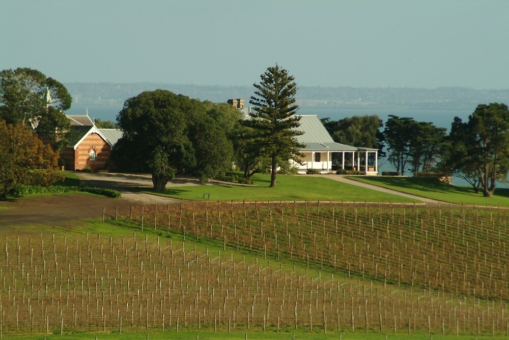 "Joe Mortelliti Gallery - Spray Farm homestead, Bellarine Peninsula ...