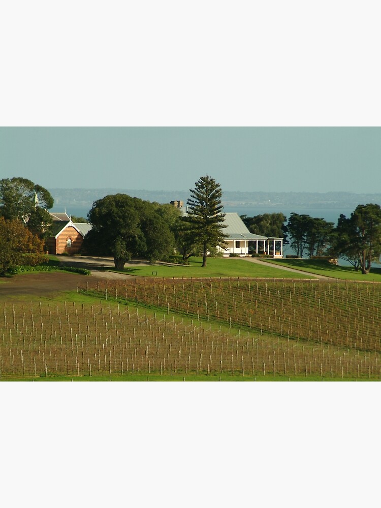 "Joe Mortelliti Gallery - Spray Farm homestead, Bellarine Peninsula ...