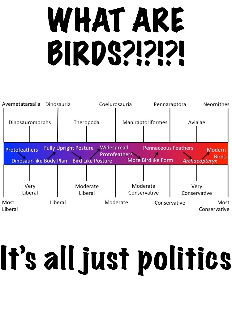 "Bird Political Spectrum" Poster for Sale by adinosauraday | Redbubble