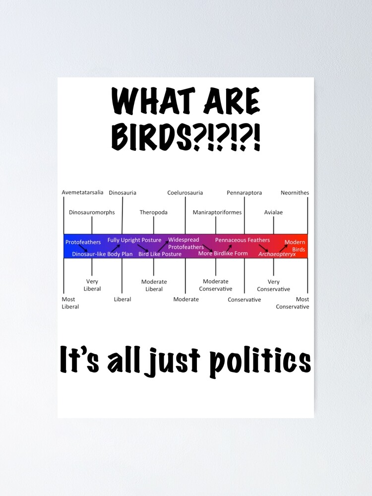 "Bird Political Spectrum" Poster for Sale by adinosauraday | Redbubble