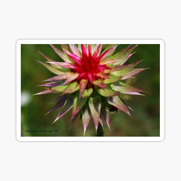 "Coming Out" Sticker for Sale by Katagram | Redbubble