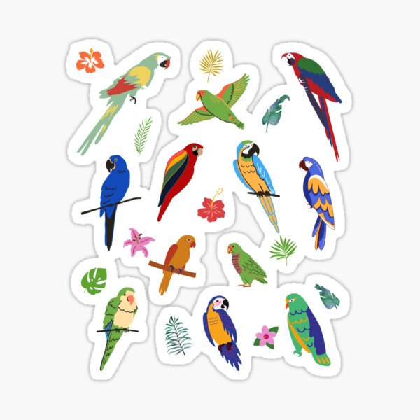 "Enjoy the beauty of flying, colorful birds" Sticker for Sale by ...
