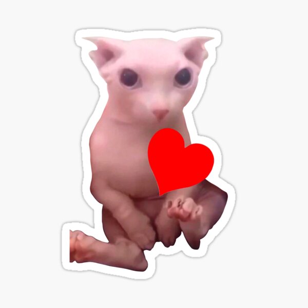 "valentine bingus" Sticker for Sale by jojoloucks | Redbubble