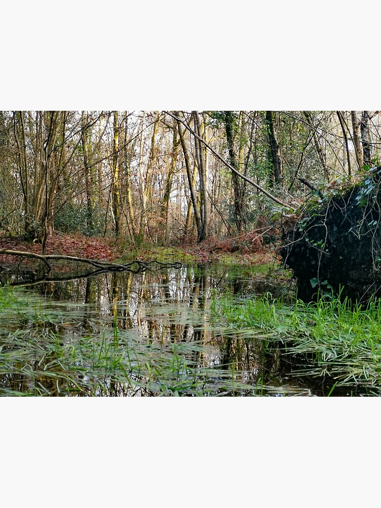 "English forest landscape after rain " Poster by japaneseart | Redbubble