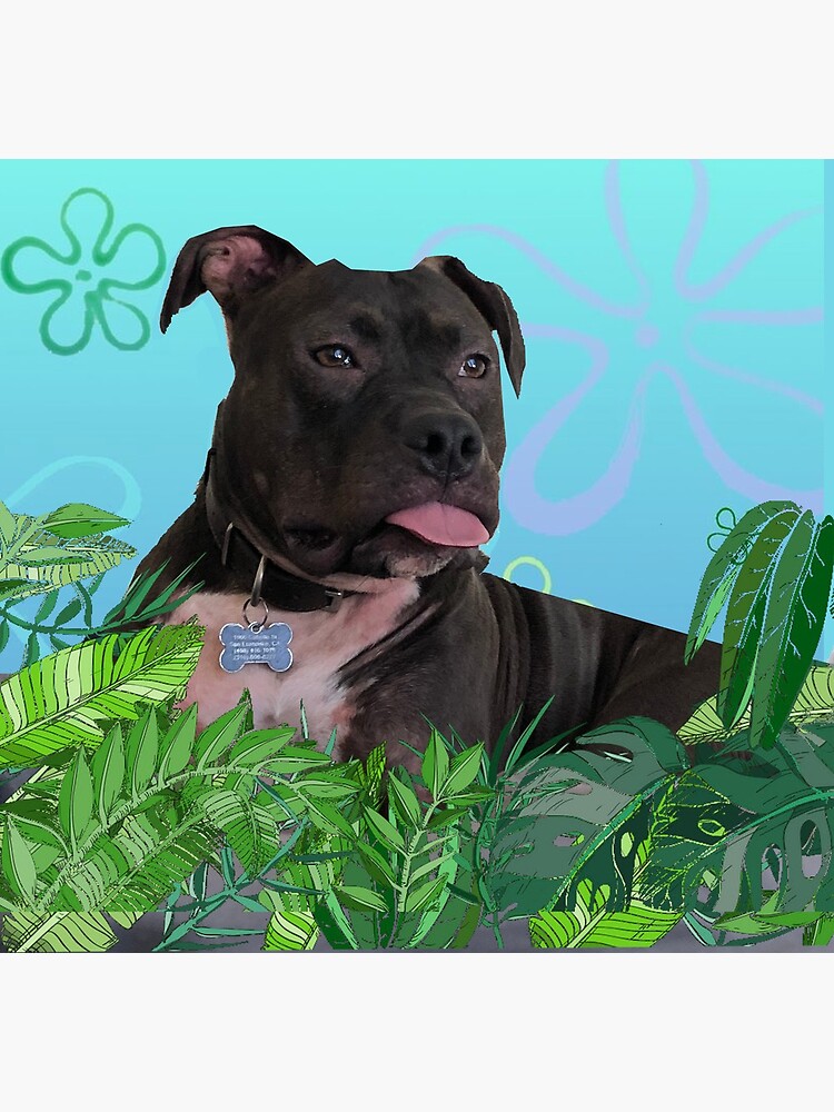 "Tropical Cutie" Poster for Sale by KyloRoseArts | Redbubble