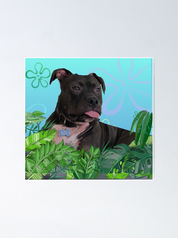 "Tropical Cutie" Poster for Sale by KyloRoseArts | Redbubble
