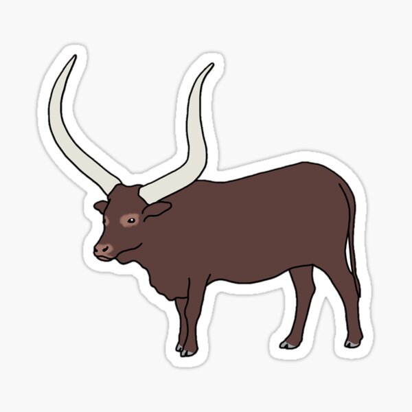 "Ankole Cow" Sticker by taylorrowan | Redbubble