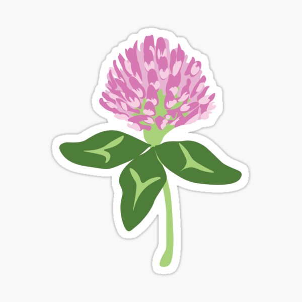 "Red Clover" Sticker for Sale by brilliantbotany | Redbubble