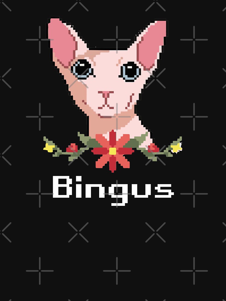 "Bingus cat " T-shirt for Sale by Ashi17 | Redbubble | hairless cat t ...