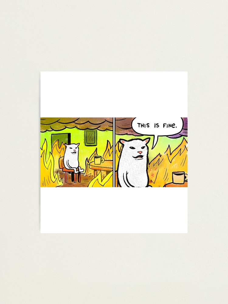 "This is fine burning cat meme" Photographic Print by PaletteDesigns ...
